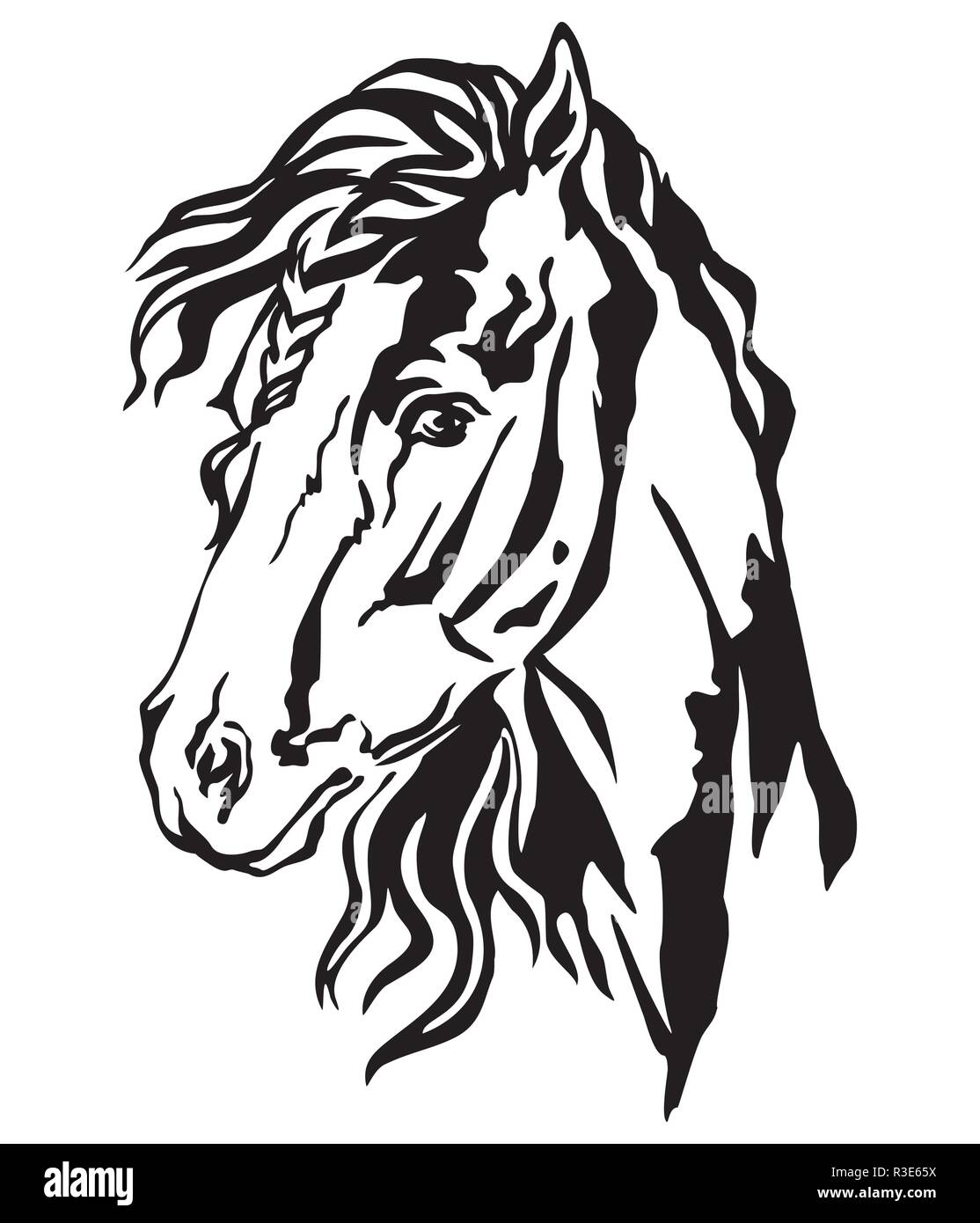 Thoroughbred horse cut out Cut Out Stock Images & Pictures - Alamy