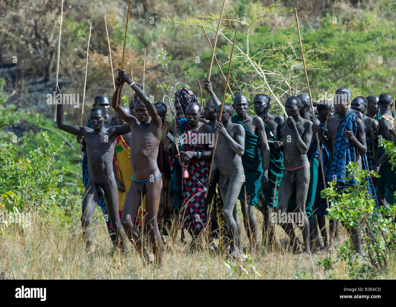 Group of suri tribe warriors during a donga stick fighting ritual, Omo ...