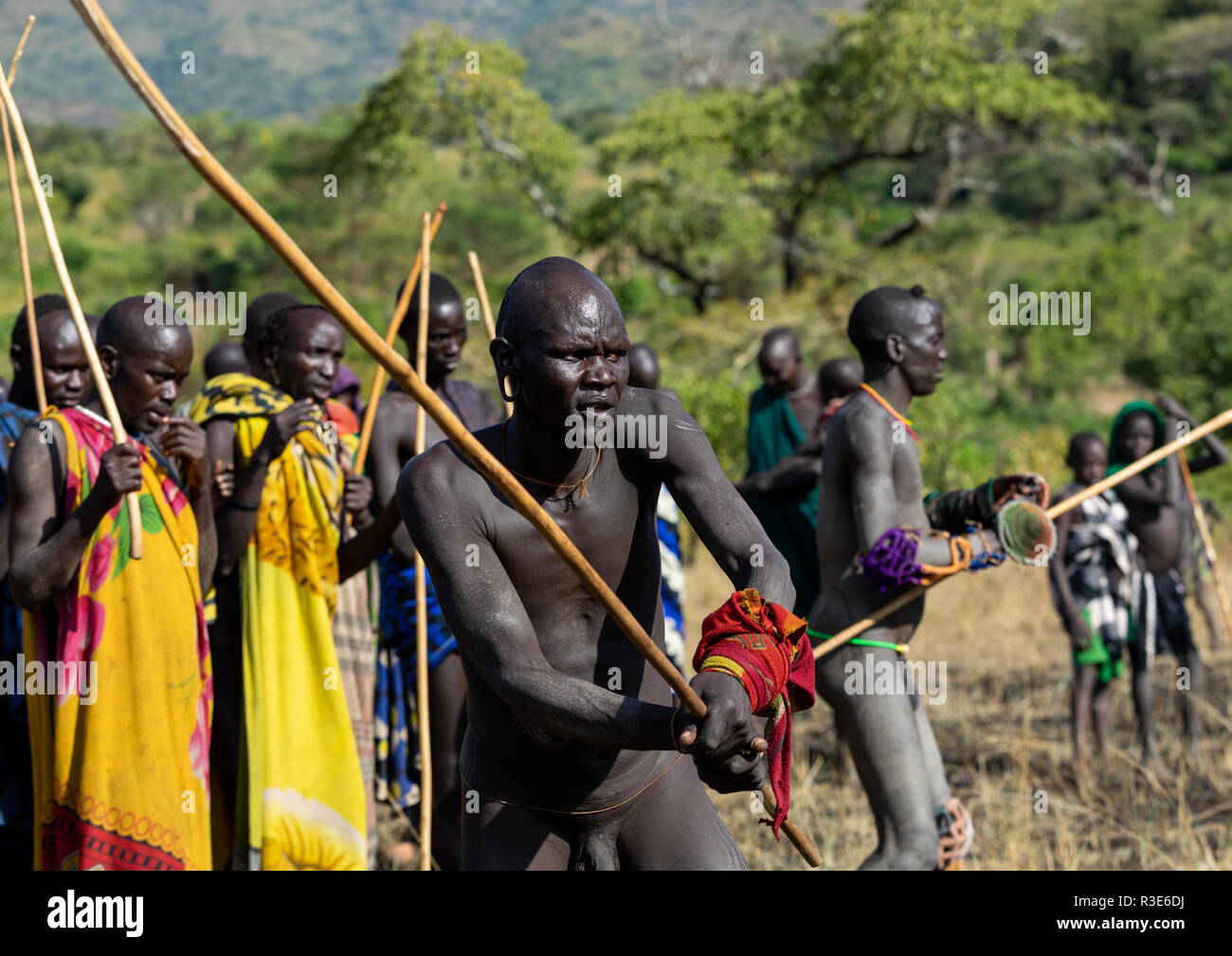 Suri tribe warriors fighting during a donga stick ritual, Omo valley ...