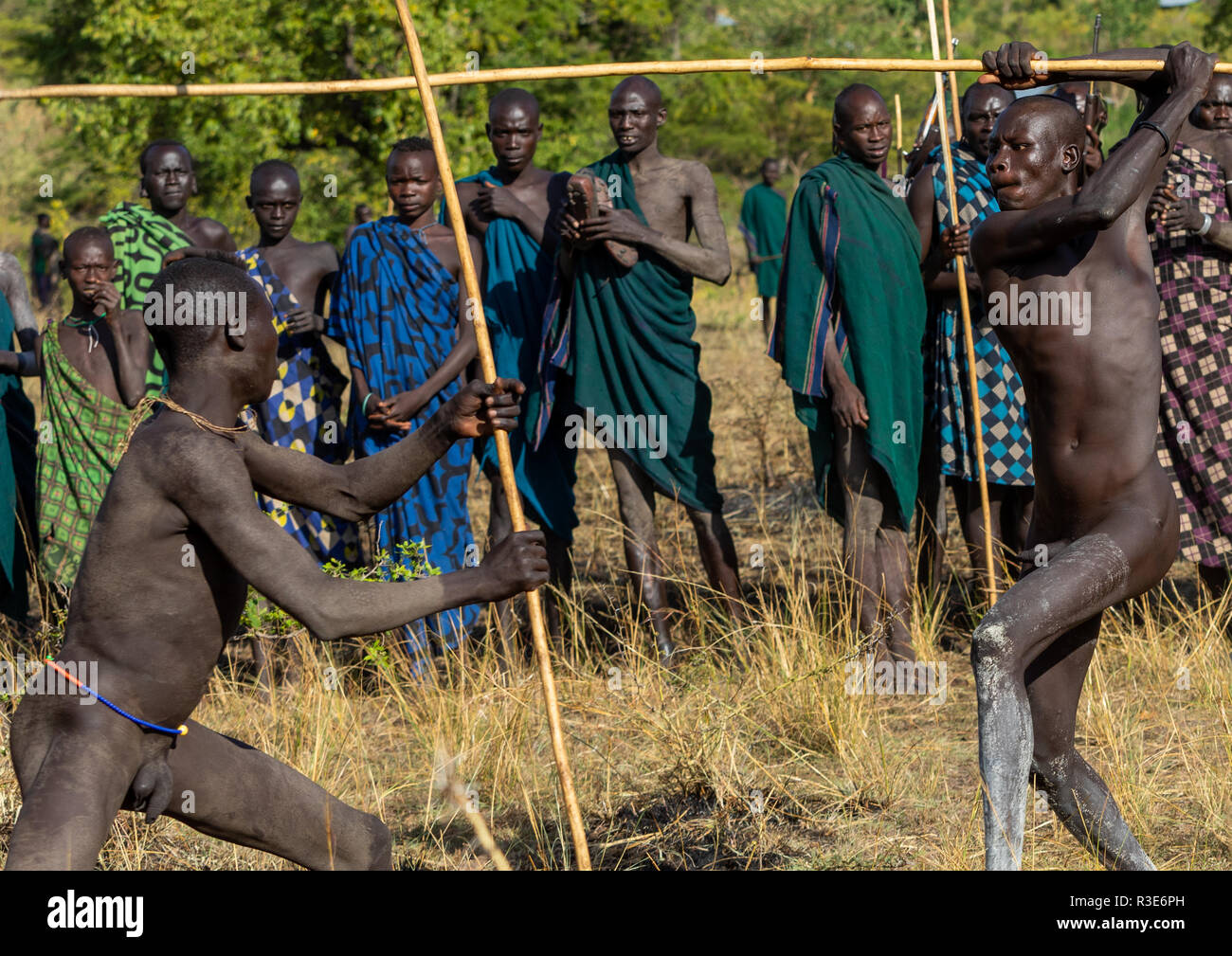 Suri tribe warriors fighting during a donga stick ritual, Omo valley ...