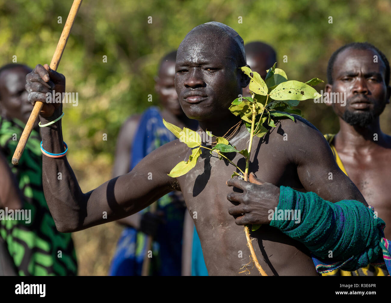 Suri tribe warrior parading before a donga stick fighting ritual, Omo ...