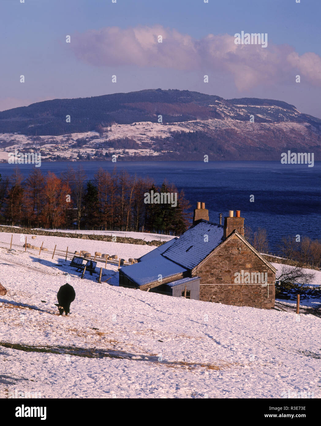 Winter view of Loch Tay, Perthshire Stock Photo - Alamy
