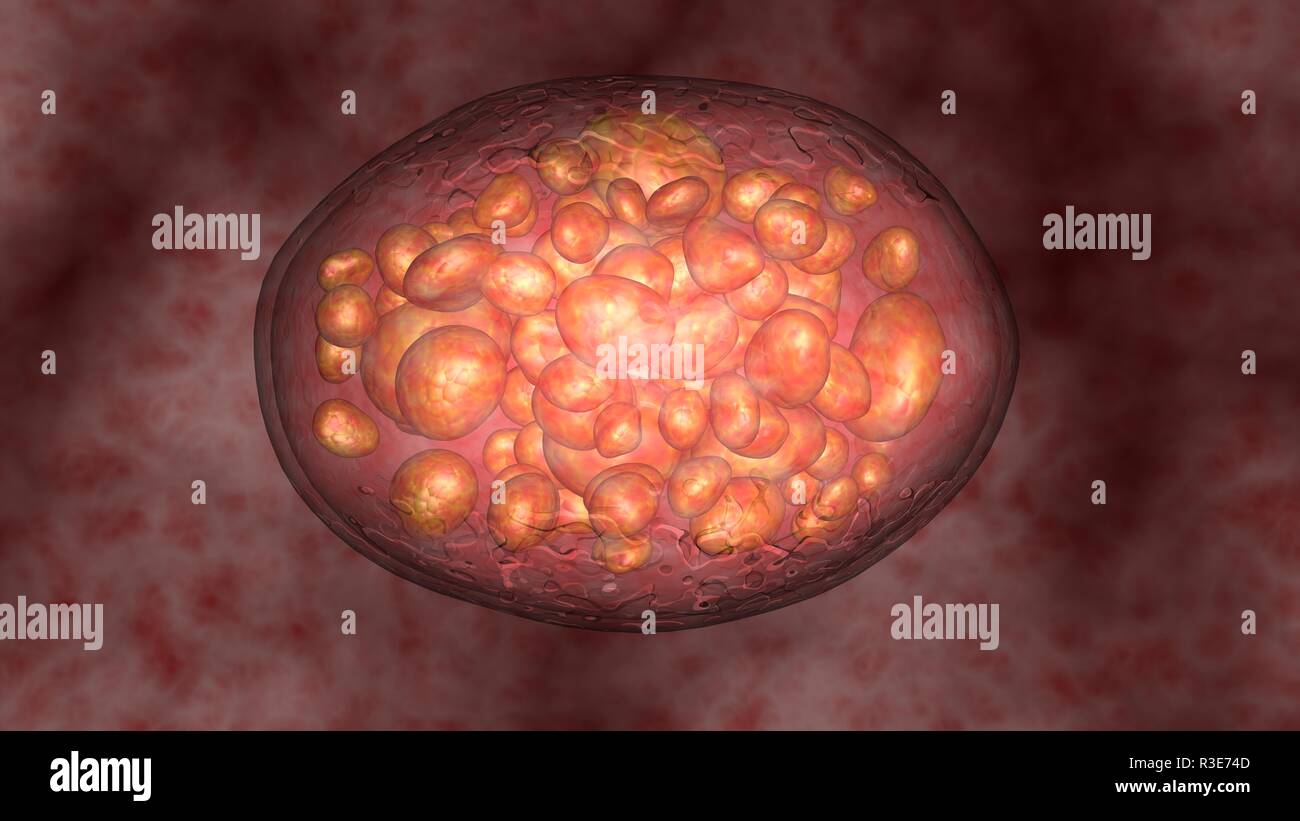 Glowing cells, microbe inside body . 3d render Stock Photo - Alamy