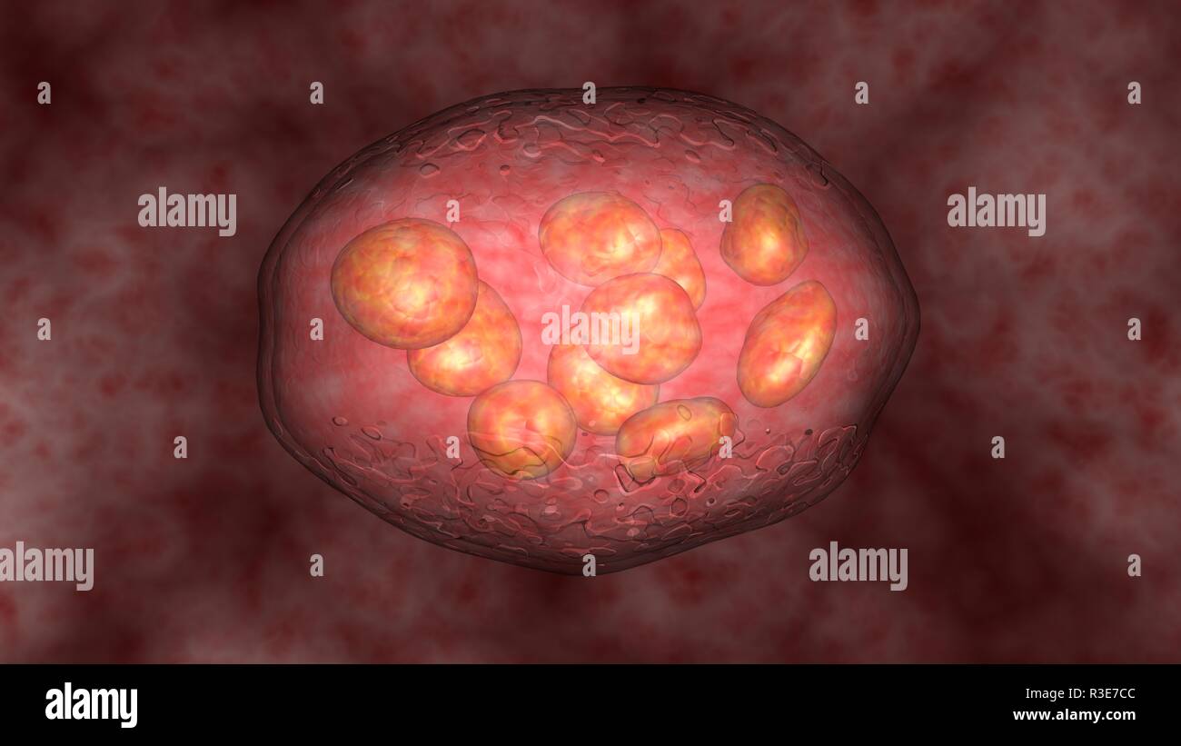 Glowing cells, microbe inside body . 3d render Stock Photo - Alamy