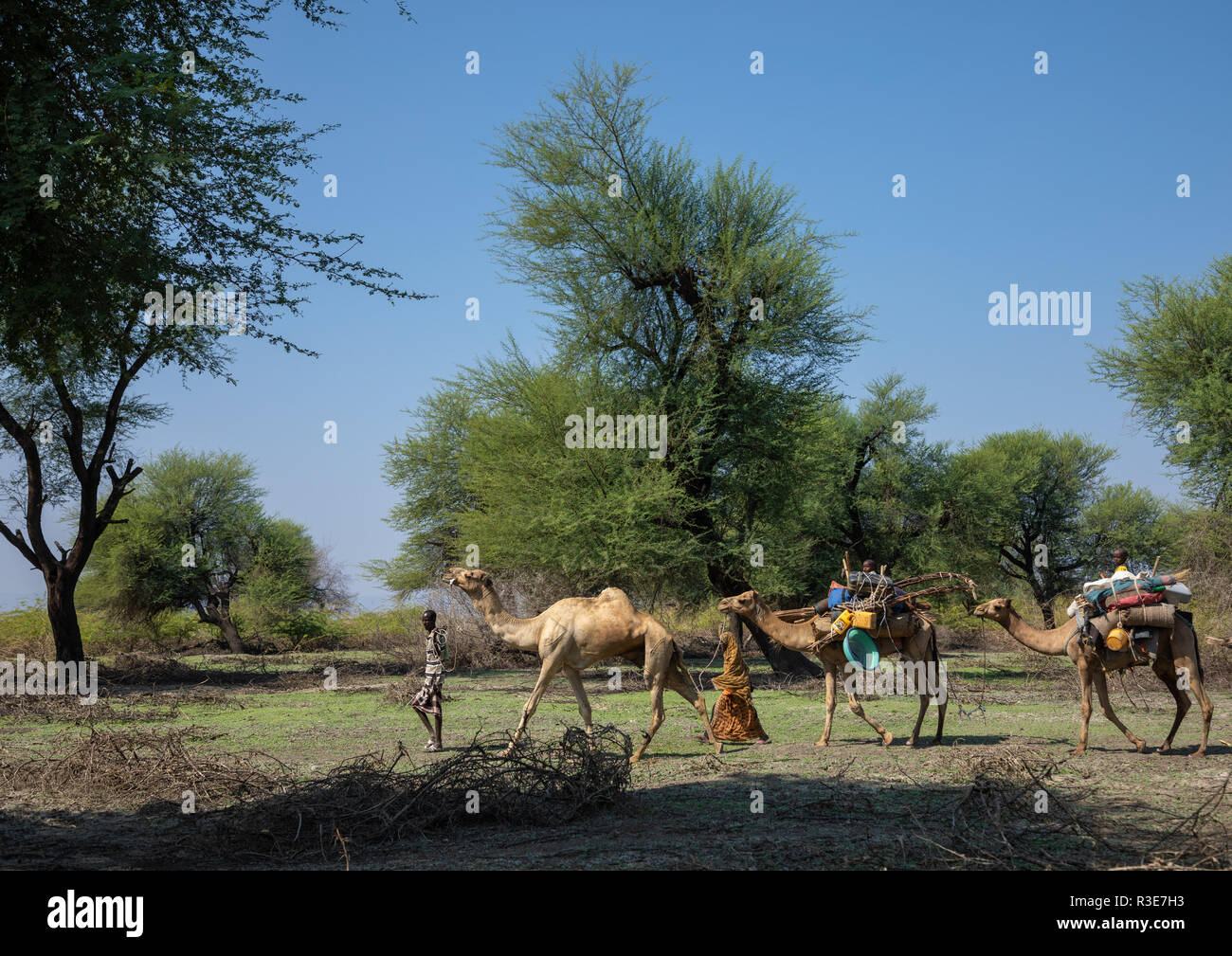 Tribal woman with camel hi-res stock photography and images - Alamy