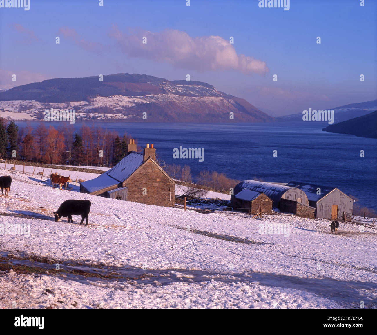 Loch tay perthshire hi-res stock photography and images - Alamy