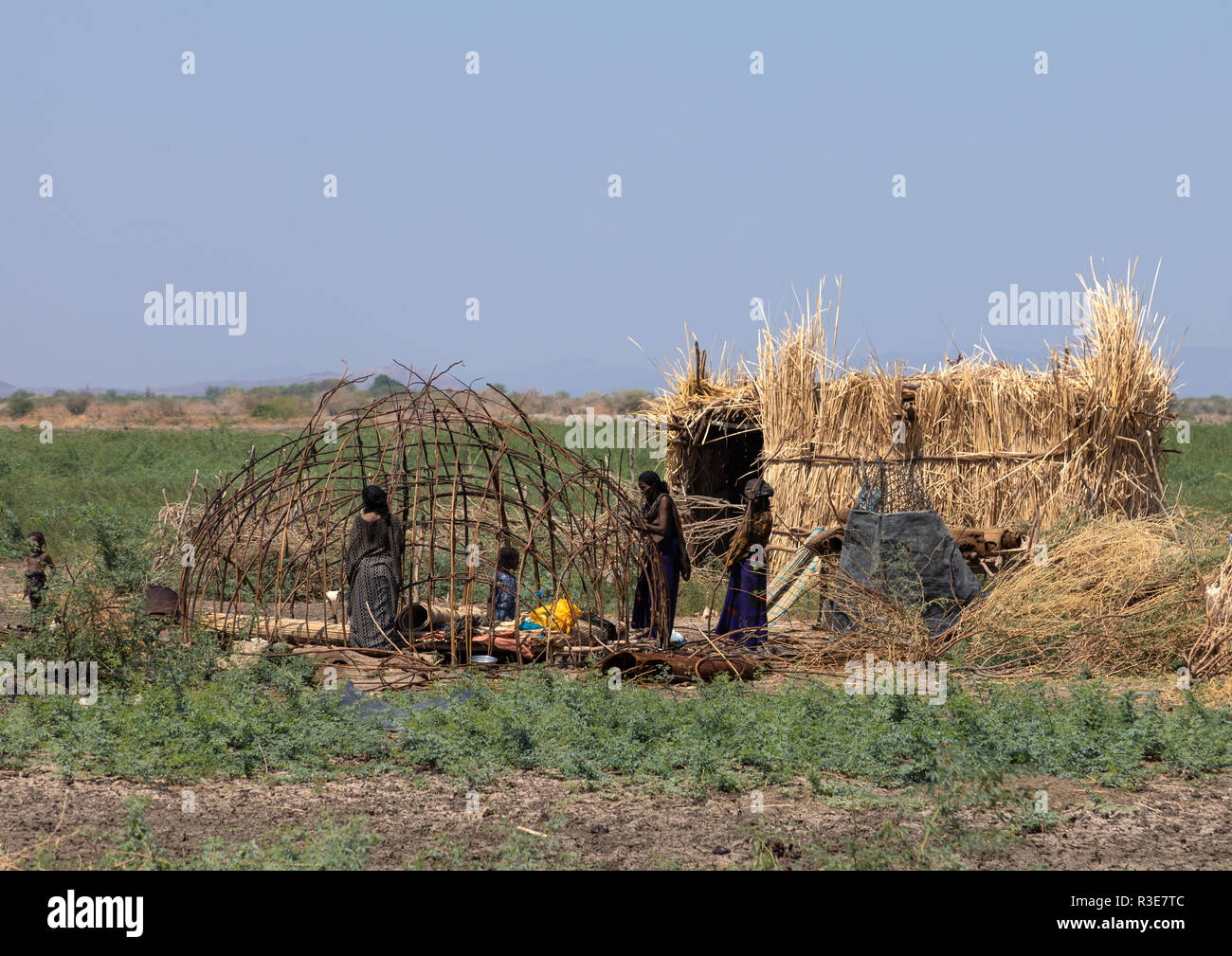 Afar people building a hut, Afar Region, Afambo, Ethiopia Stock Photo ...