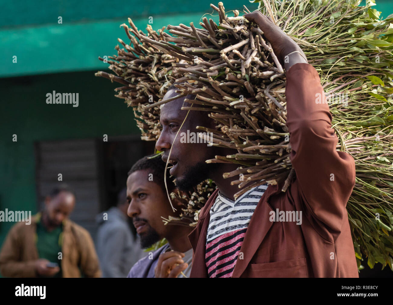 Man passing with a huge ball of khat, Harari Region, Harar, Ethiopia ...