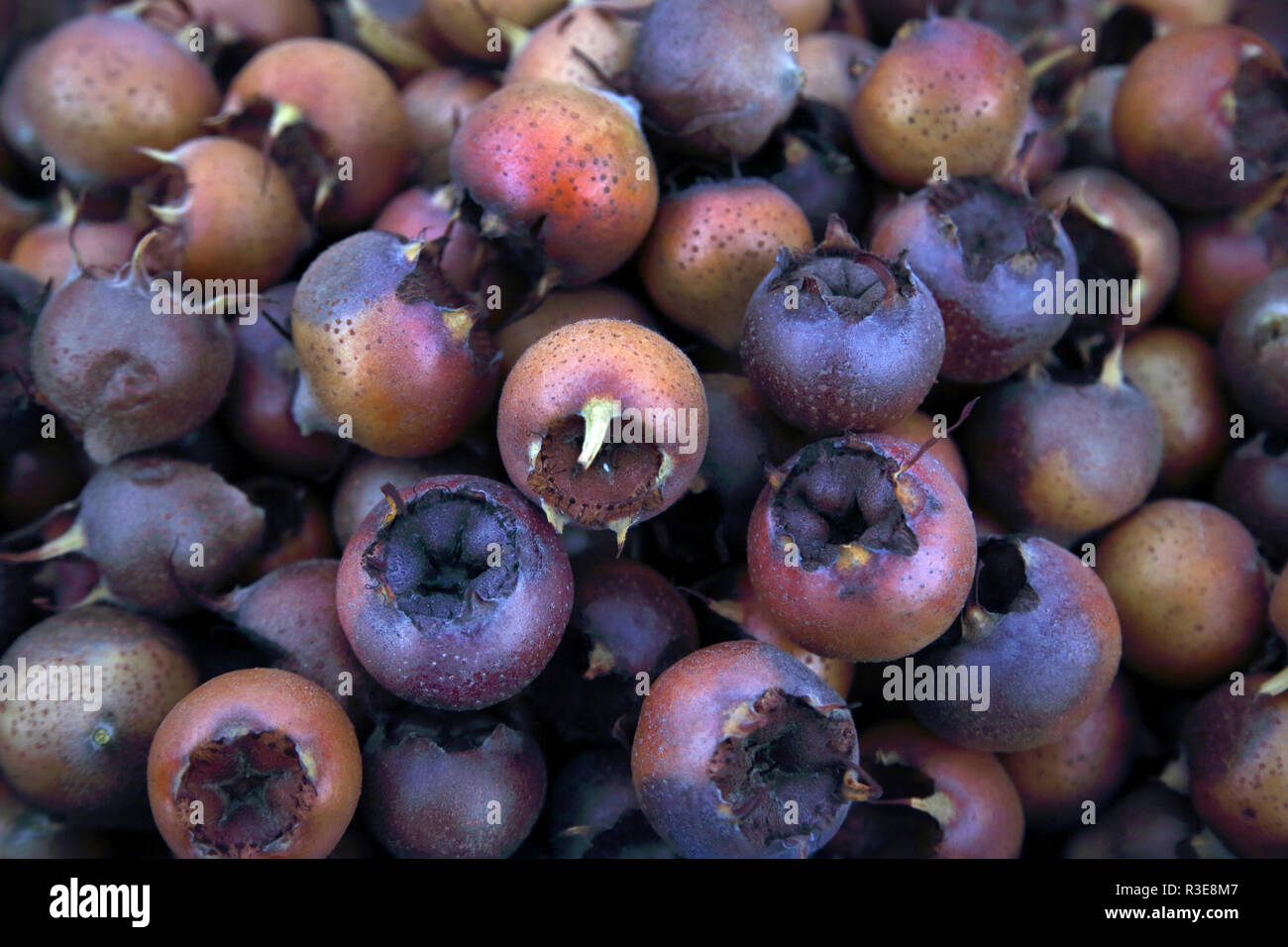 Bletted hi-res stock photography and images - Alamy