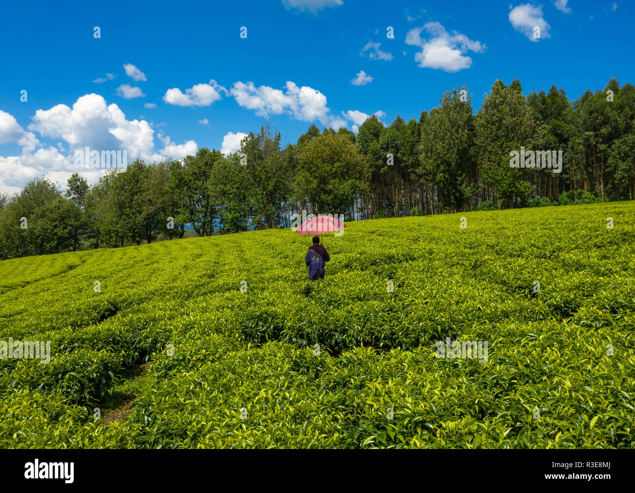 Ethiopia18 dr0010 hi-res stock photography and images - Alamy