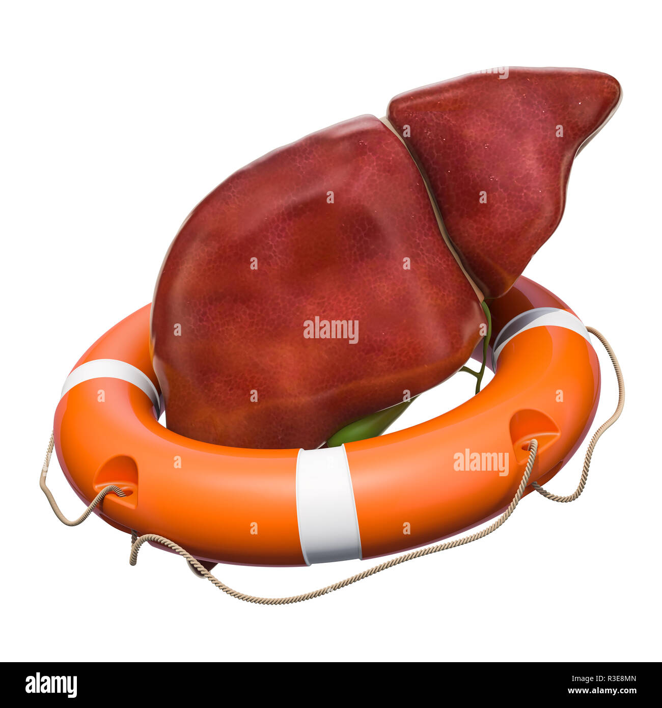 Human liver with lifebelt, liver protect concept. 3D rendering isolated ...