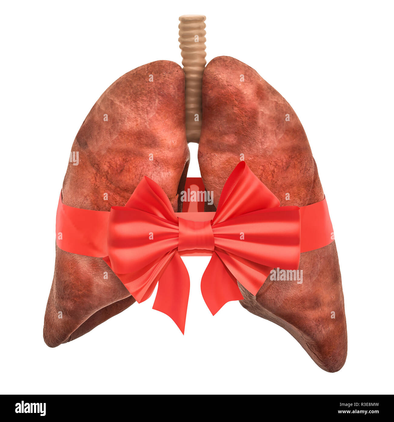 Human lungs hi-res stock photography and images - Alamy