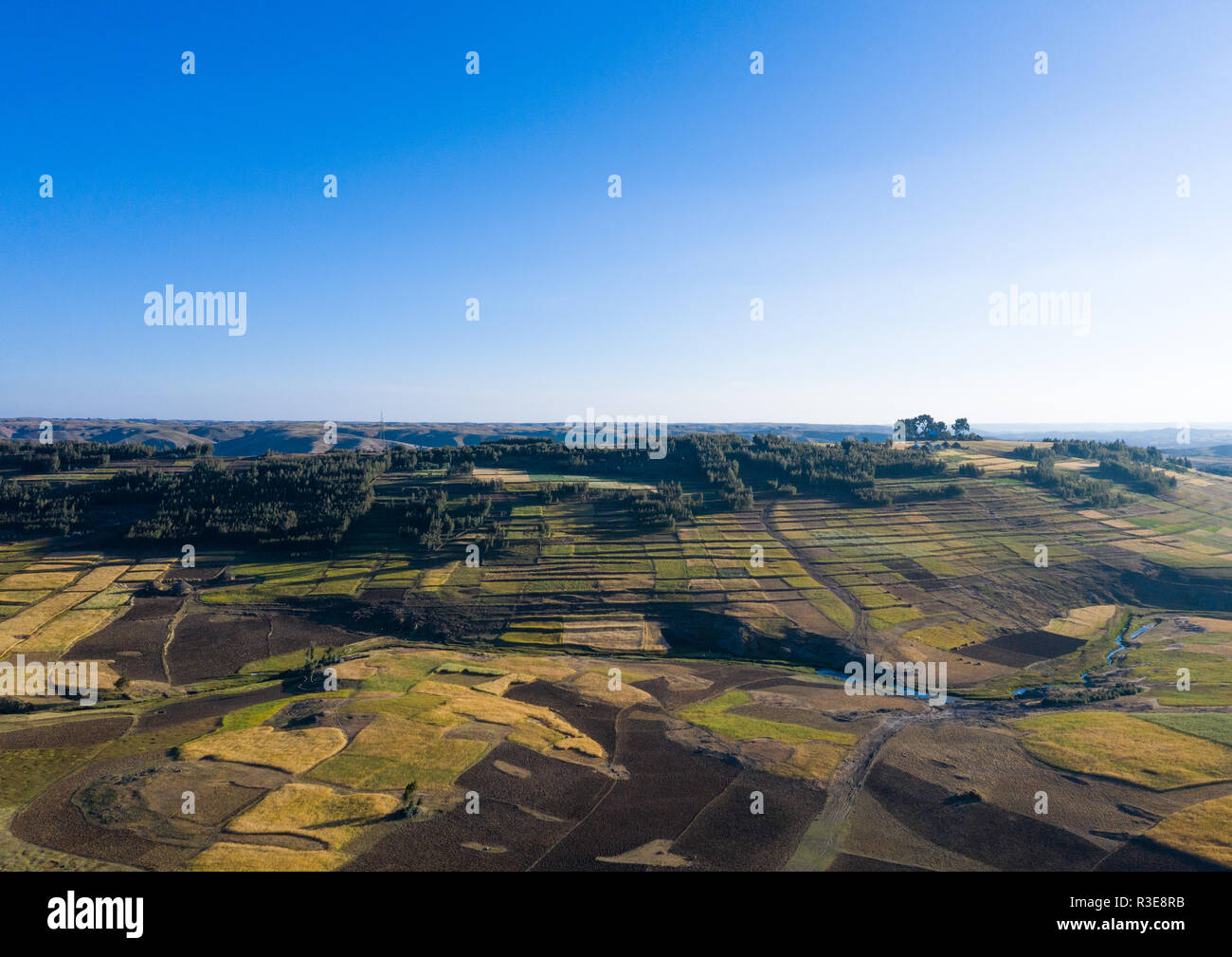 Weldiya hi-res stock photography and images - Alamy