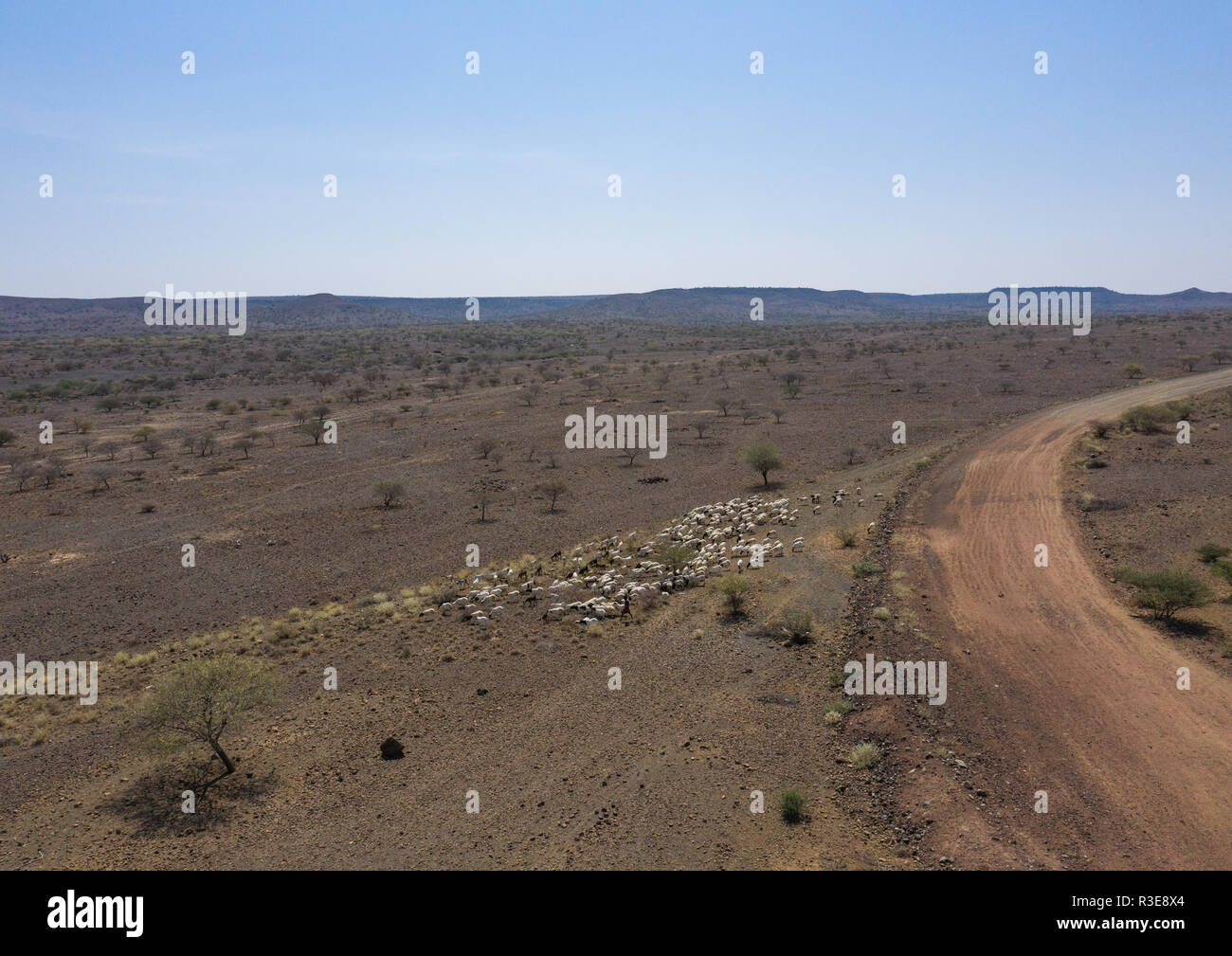 Ethiopia sheep hi-res stock photography and images - Alamy