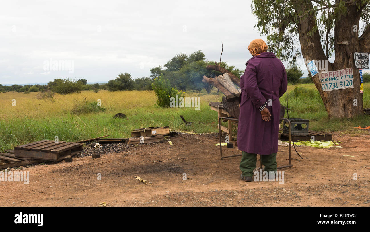 Street cooking south africa hi-res stock photography and images - Alamy