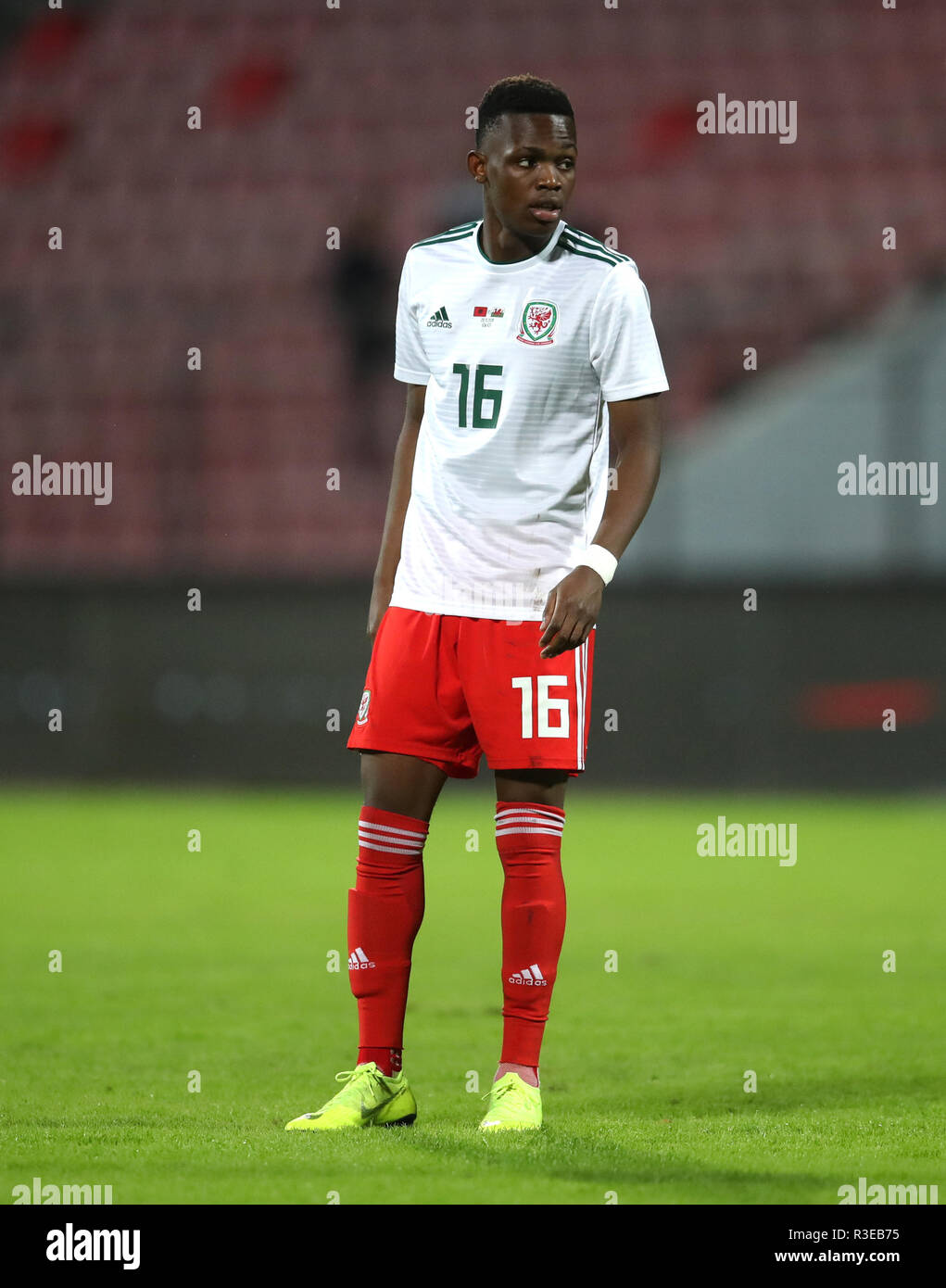 Rabbi Matondo, Wales Stock Photo - Alamy