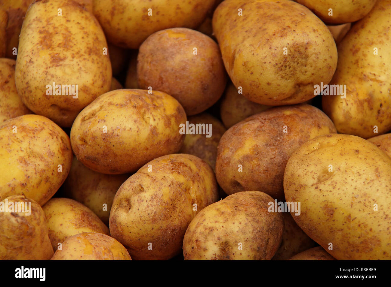 Marabel hi-res stock photography and images - Alamy