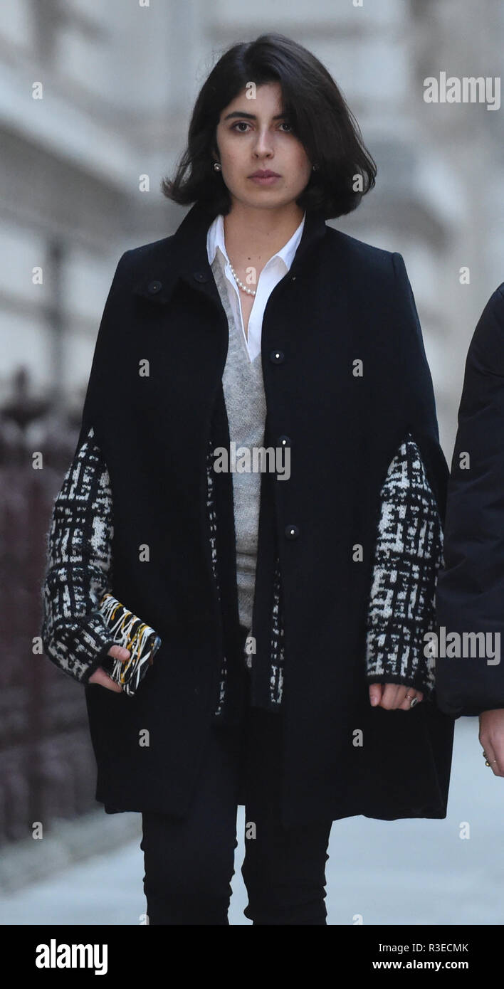 Daniela tejada left the wife of british academic hi-res stock ...