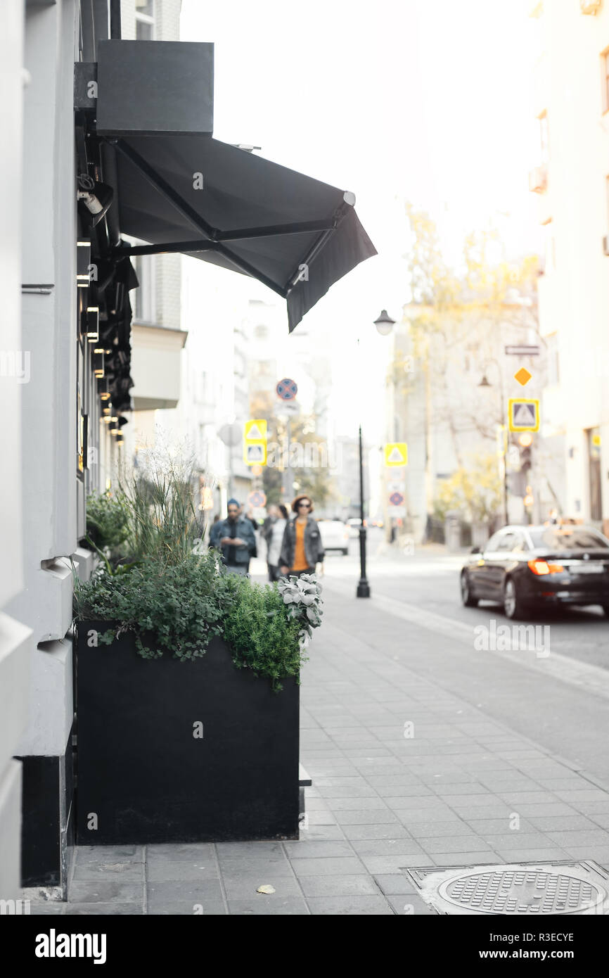 Entrance signboard board tree hi-res stock photography and images - Alamy