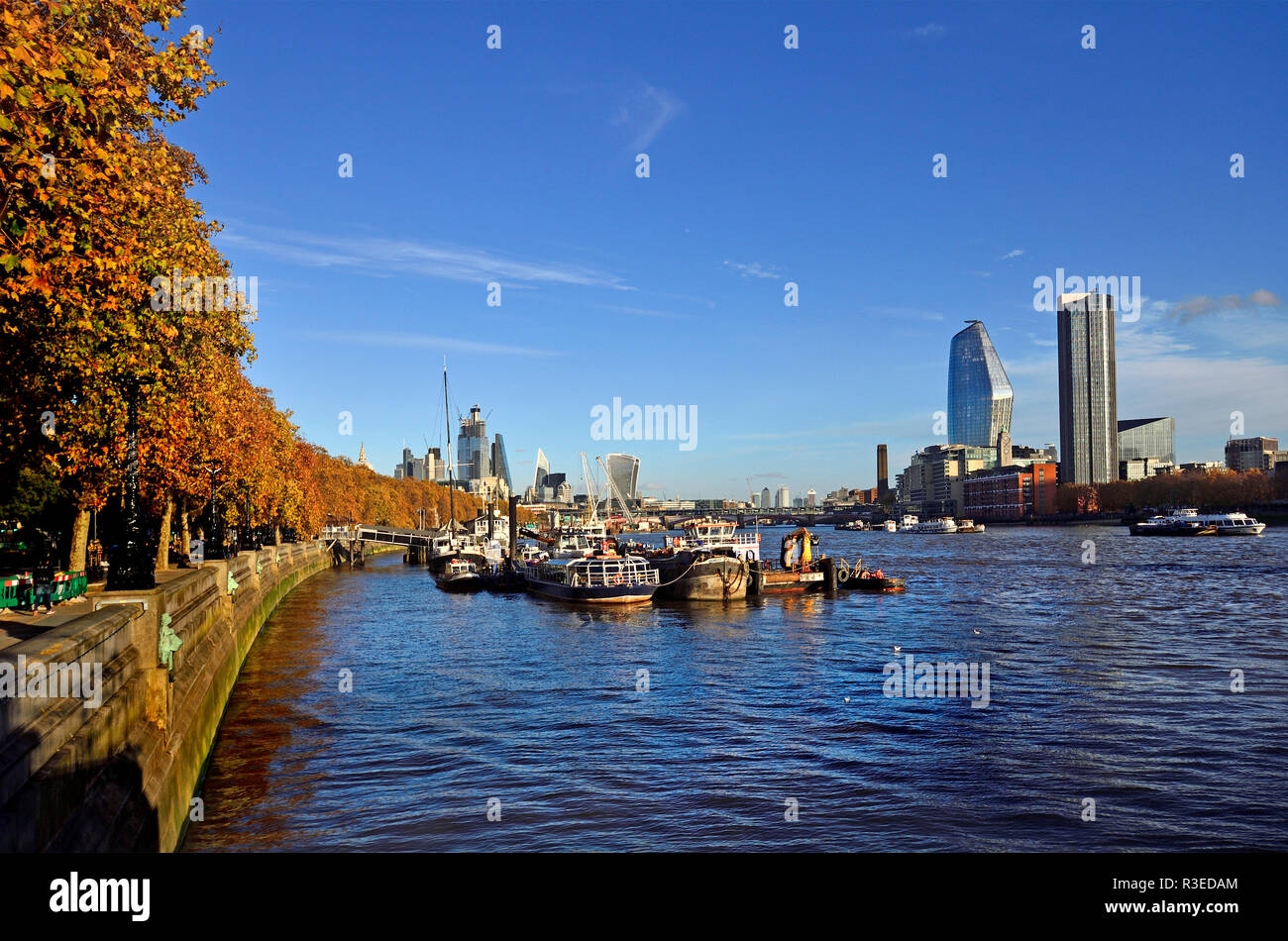 London embankment trees hi-res stock photography and images - Alamy