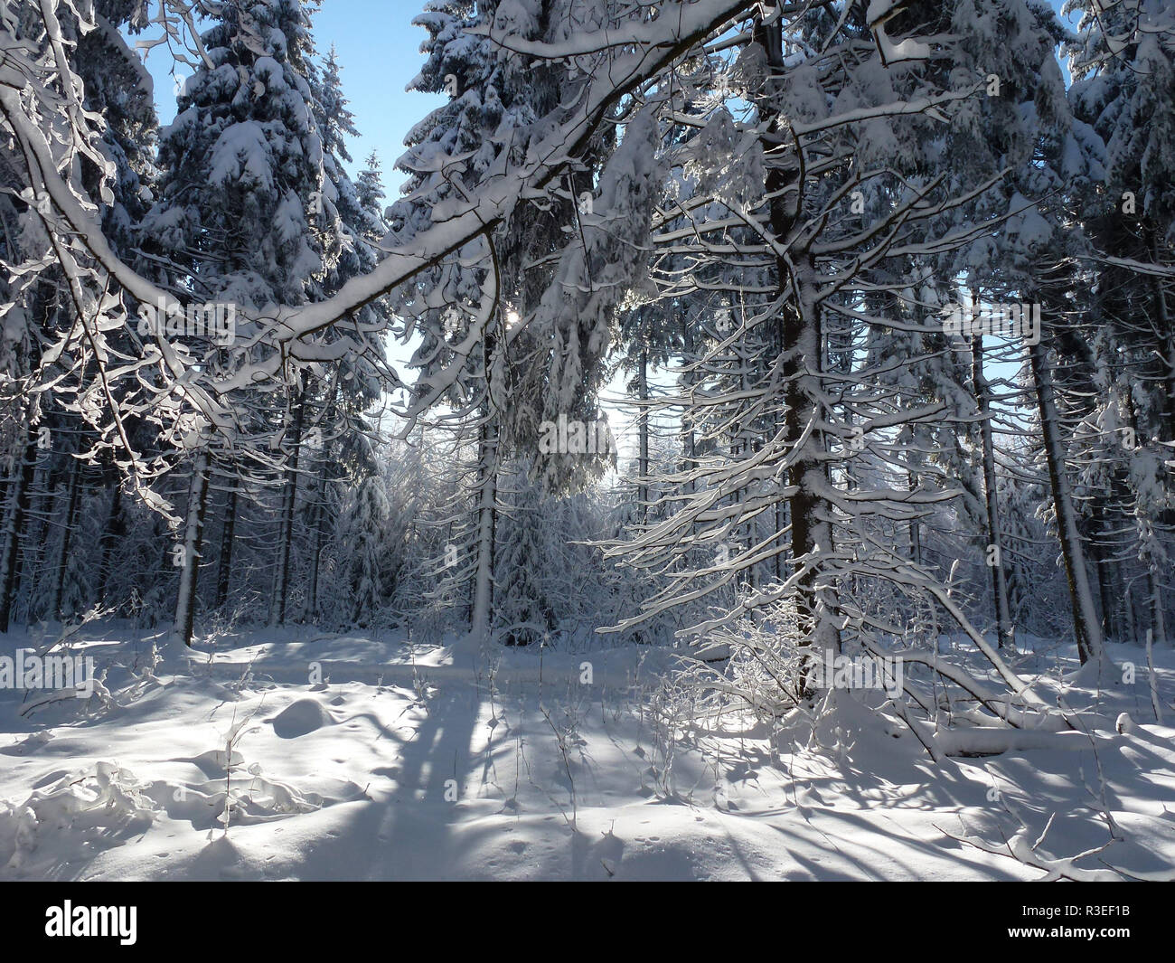 Osterzgebirge hi-res stock photography and images - Alamy