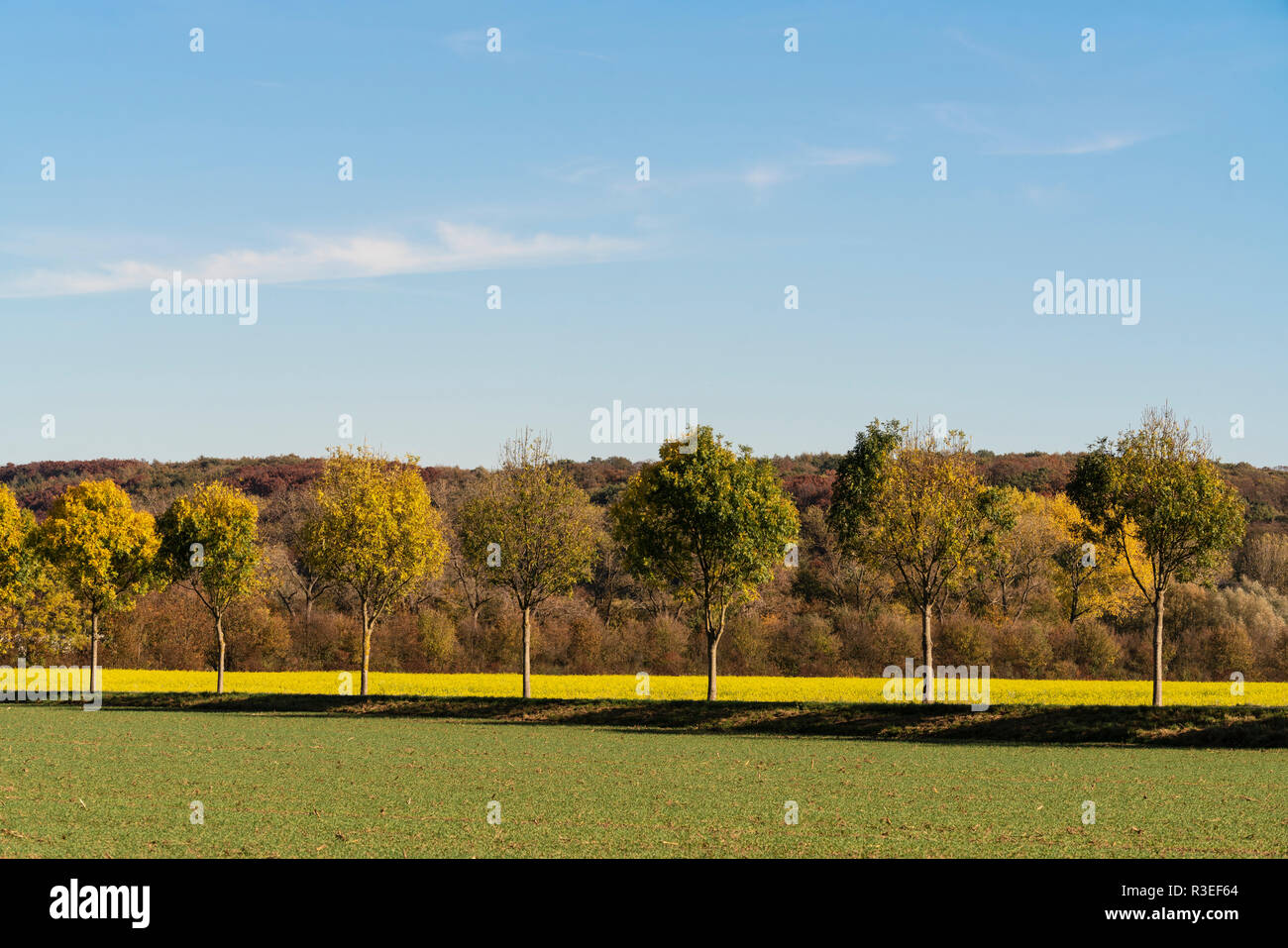 Schwerte an der Ruhr, Germany Stock Photo - Alamy