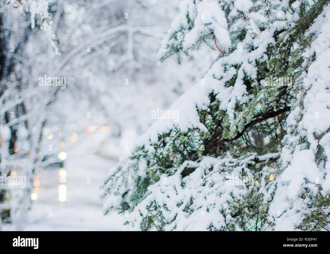 A beautiful winter season scene in Christmas time Stock Photo - Alamy