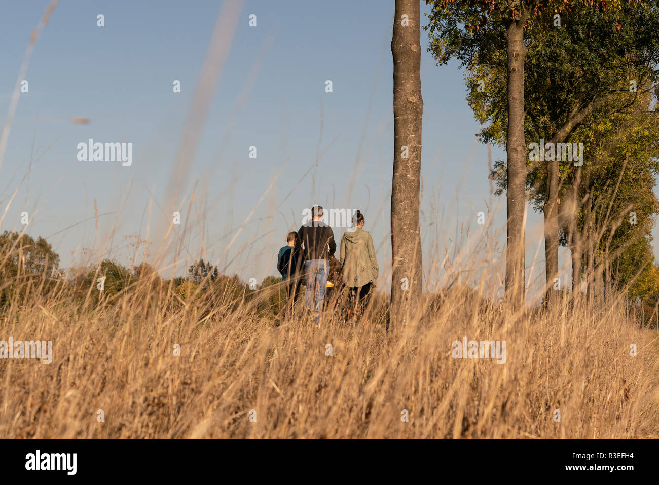 Schwerte an der Ruhr, Germany Stock Photo - Alamy