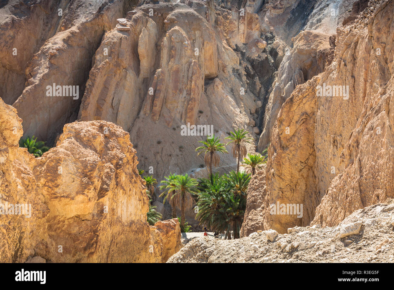 mountain oasis of tamerza in tunisia near the border with algeria Stock ...