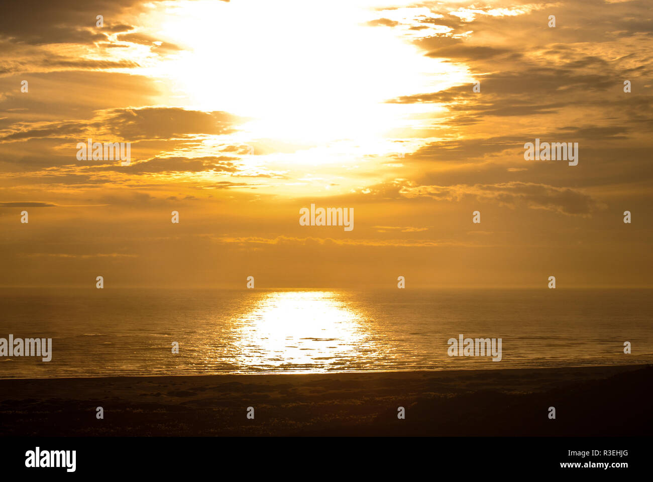 Waitakere ranges hi-res stock photography and images - Alamy