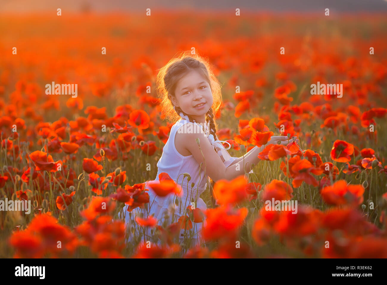 amazing close up portrait of lovely cute young romantic girl with poppy ...