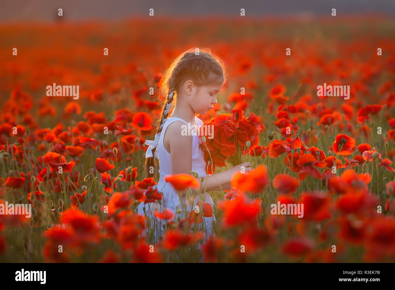 amazing close up portrait of lovely cute young romantic girl with poppy ...