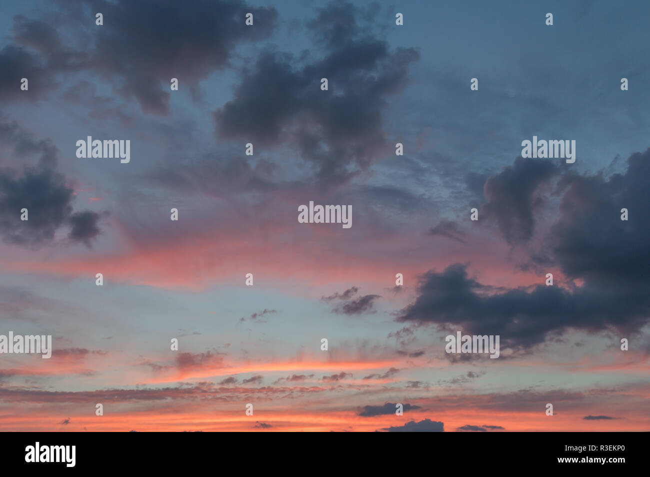 Stars scattered in night hi-res stock photography and images - Alamy