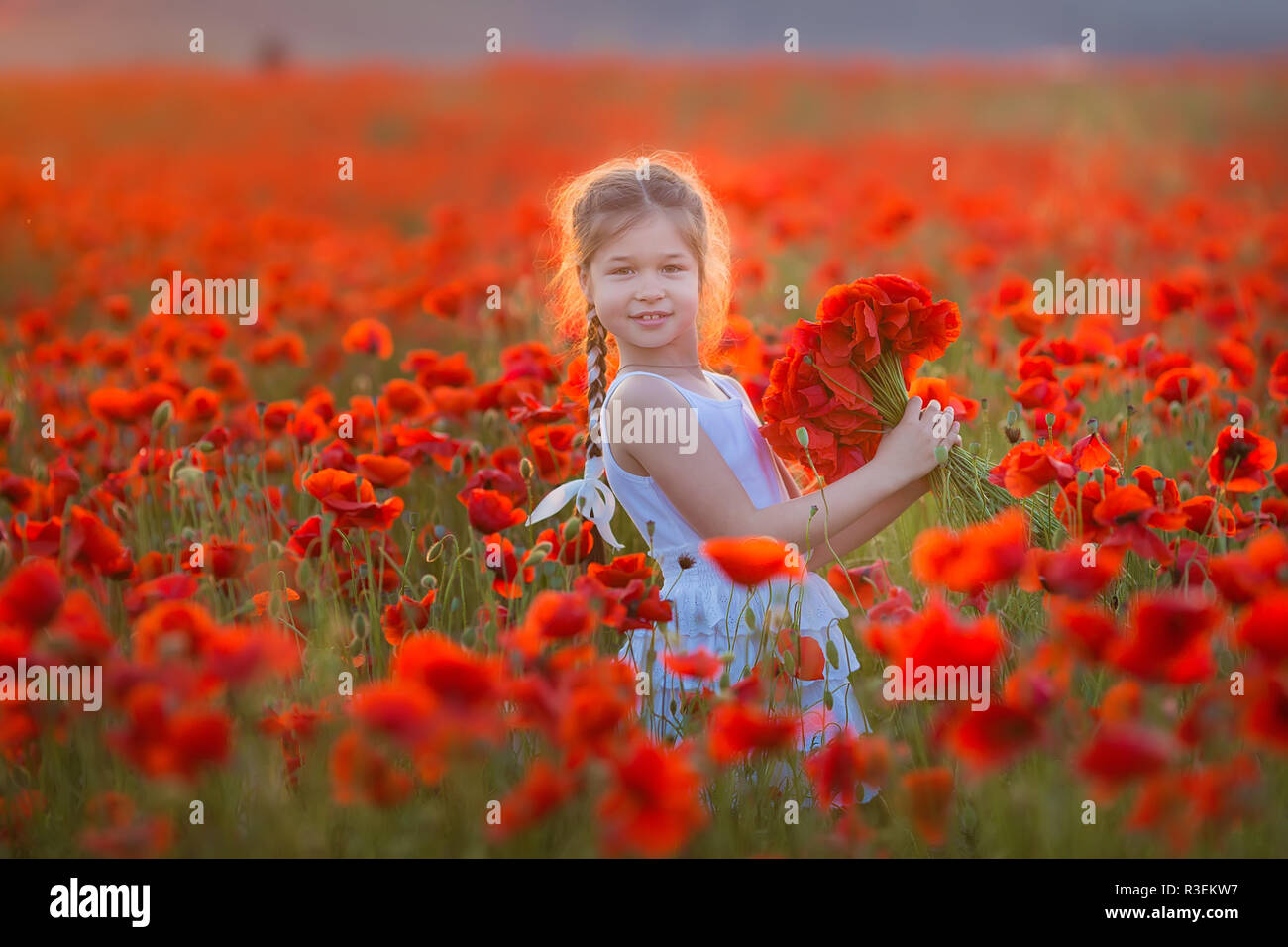 amazing close up portrait of lovely cute young romantic girl with poppy ...
