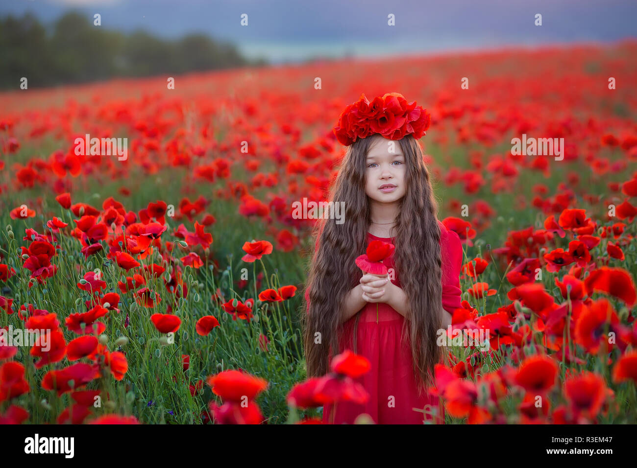 Amazing close up portrait of lovely cute young romantic girl with poppy ...
