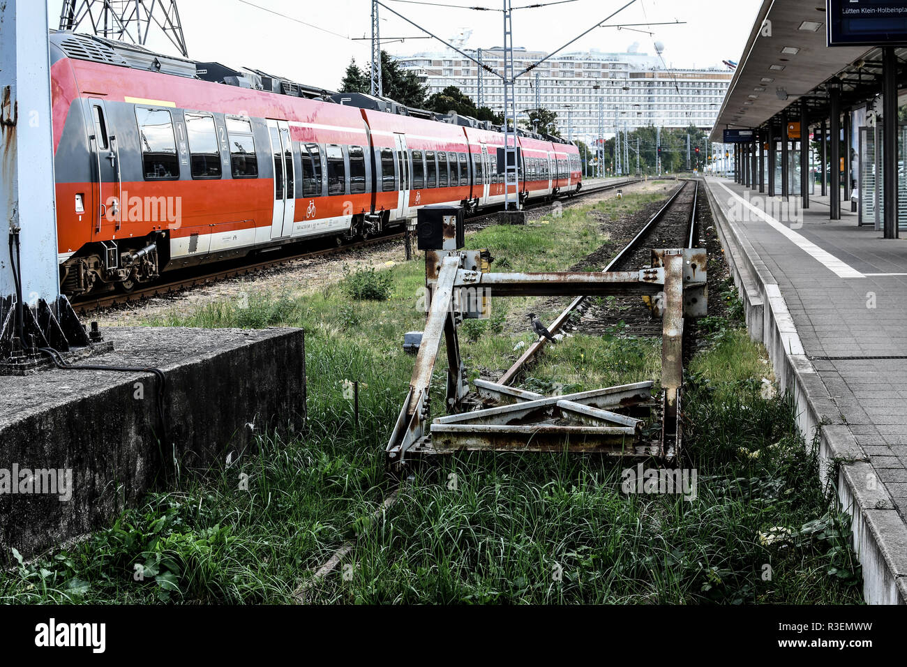 A grey and black hooded crow sits alongside a train on the tracks in ...