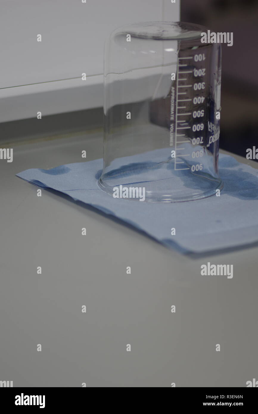 Glass Beaker Drying in a Biology Research Laboratory. Scotland, UK ...