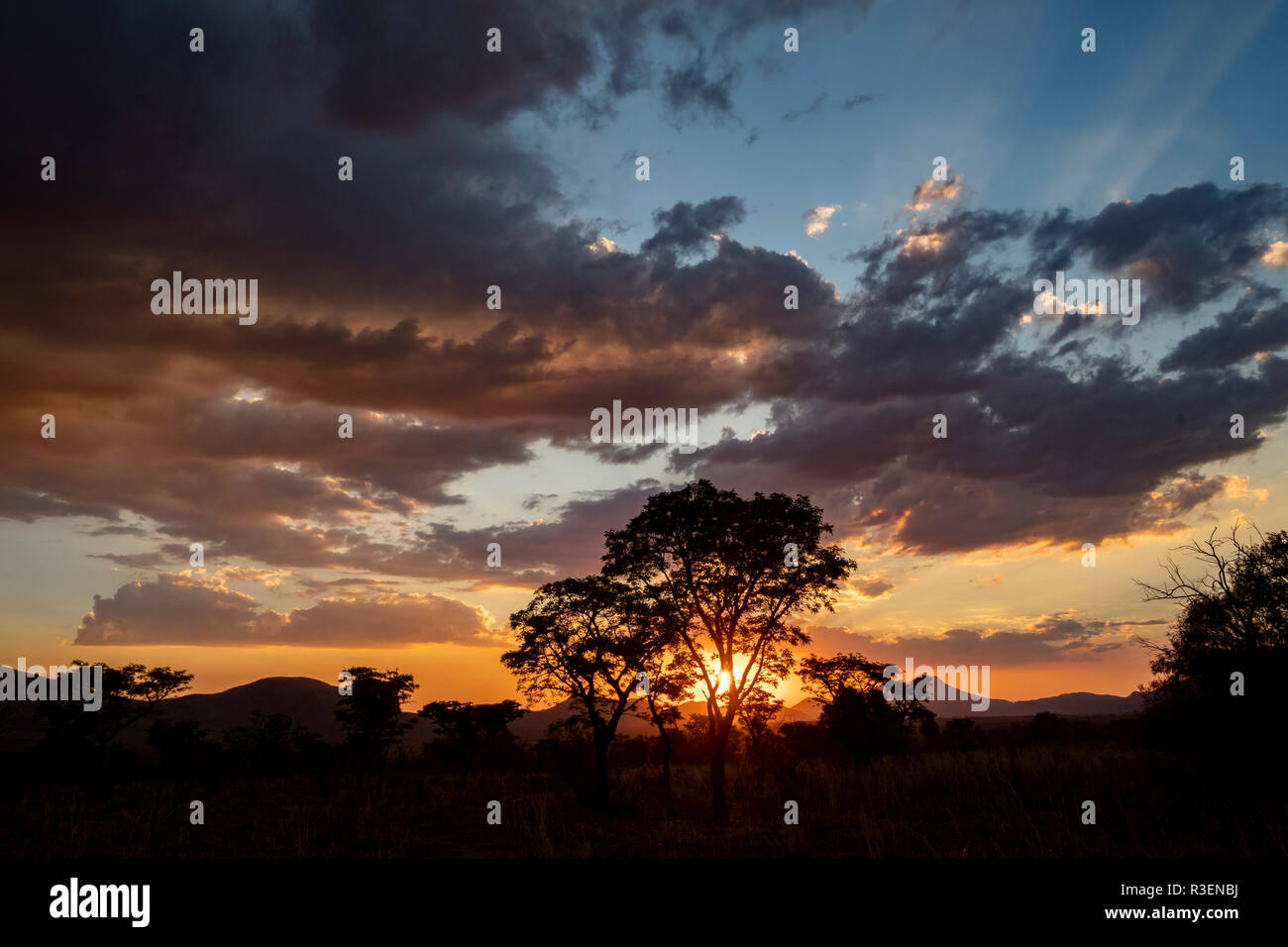 Sunset Dabchick Game Reserve, Waterberg Region. Limpopo Province, South ...