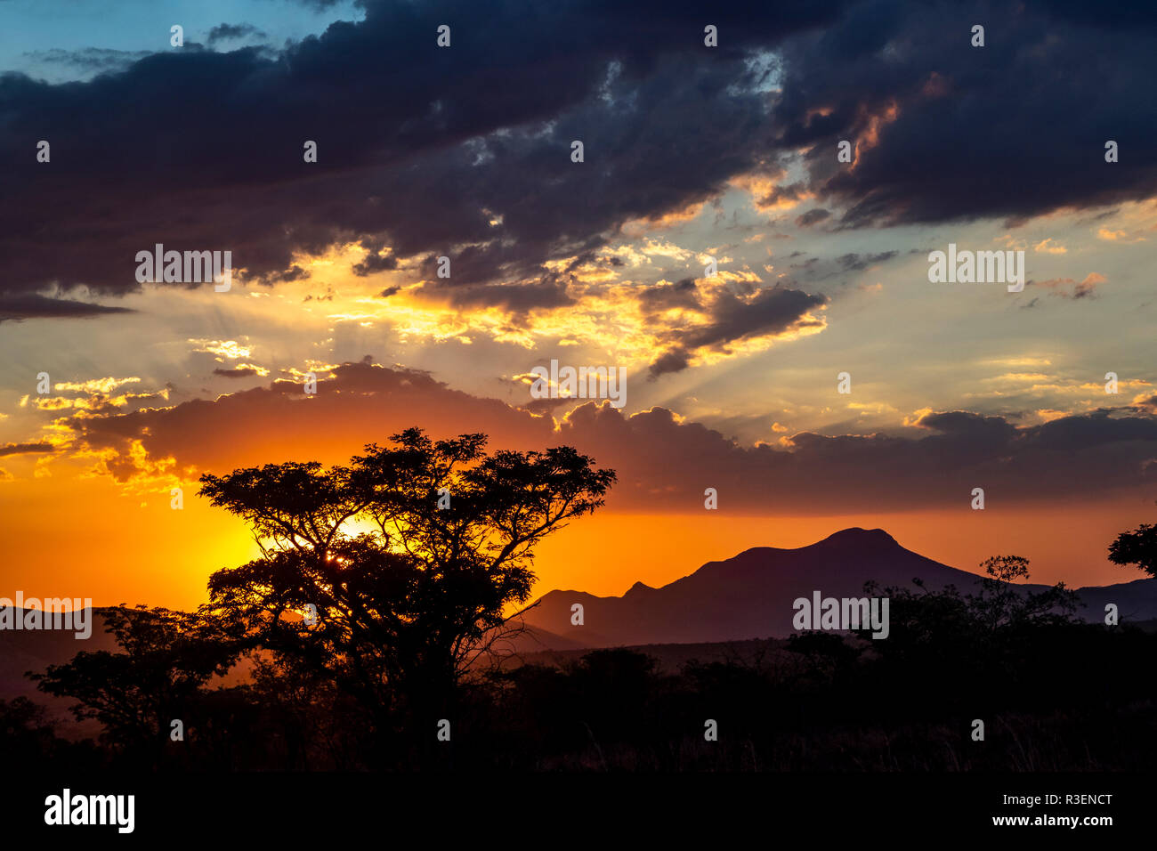 Sunset Dabchick Game Reserve, Waterberg Region. Limpopo Province, South ...