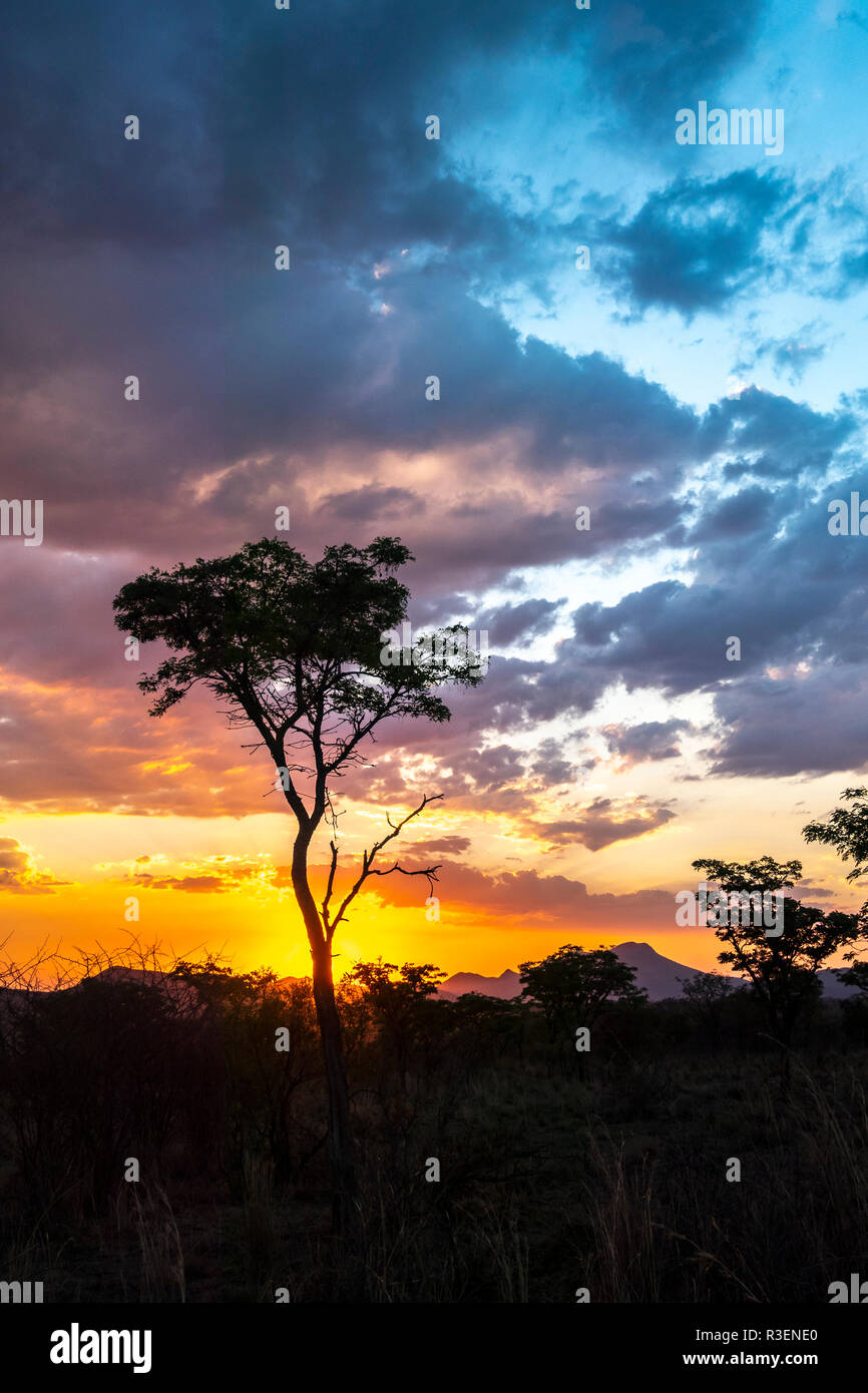 Sunset Dabchick Game Reserve, Waterberg Region. Limpopo Province, South ...