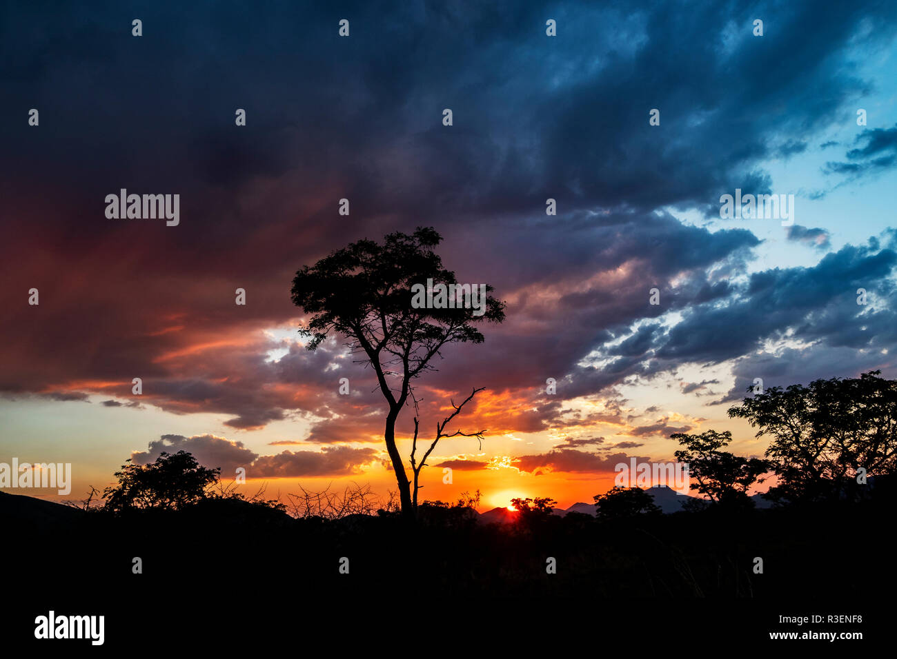 Sunset Dabchick Game Reserve, Waterberg Region. Limpopo Province, South ...