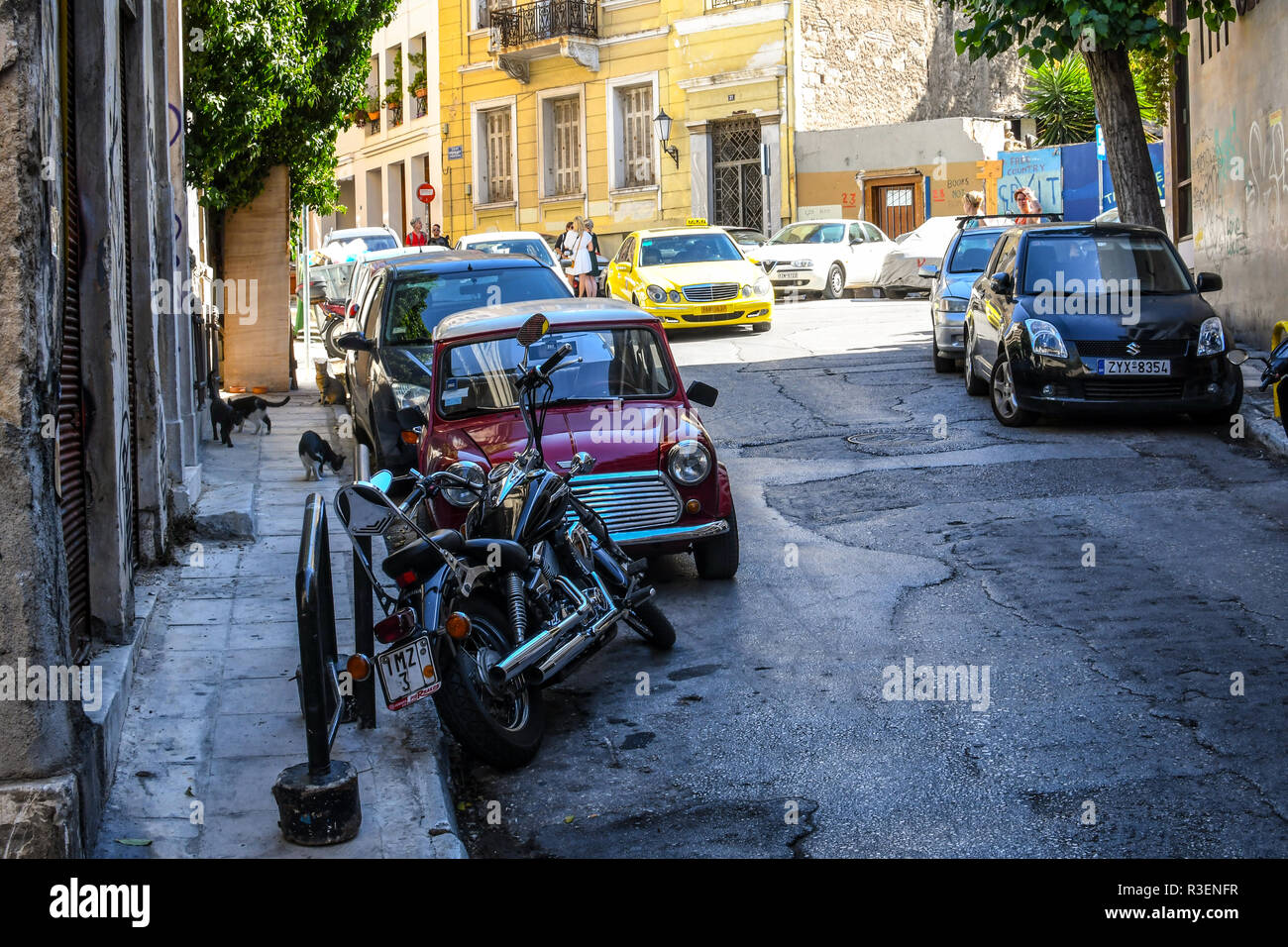 A group of stray, feral cats look for food on the sidewalk in the ...
