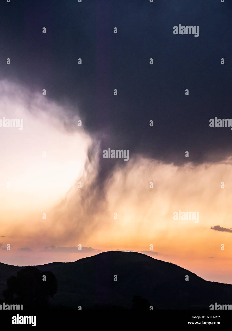 Dabchick Game Reserve, Waterberg Region. Limpopo Province, South Africa ...