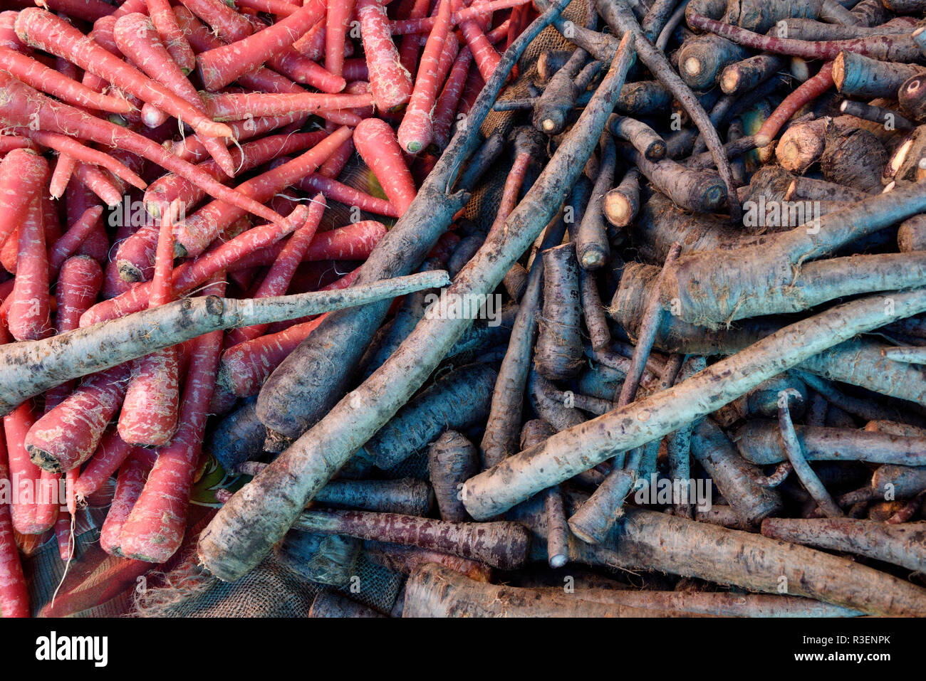 Indian red carrots hi-res stock photography and images - Alamy