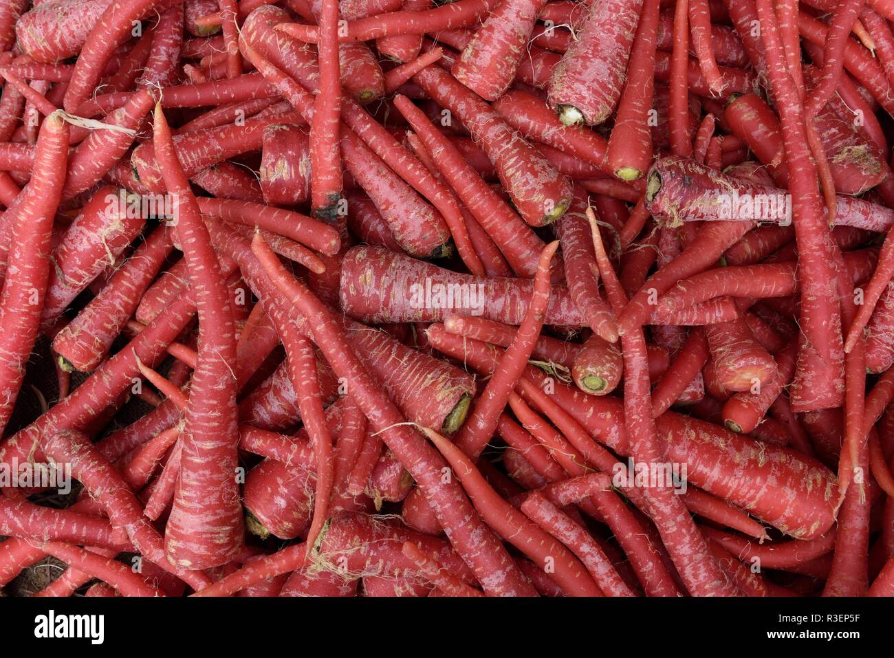 Indian red carrots indian market hi-res stock photography and images ...