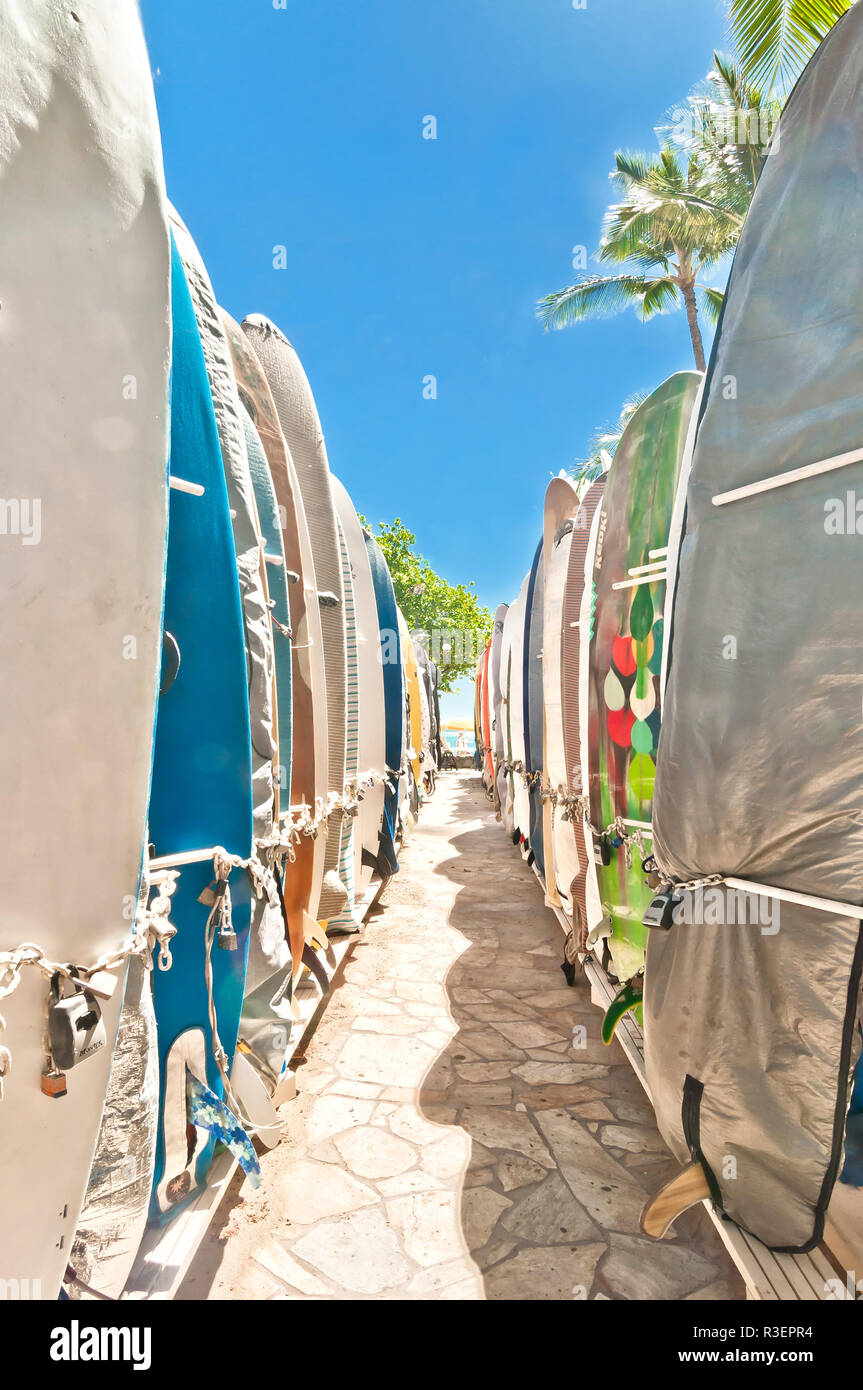 Surfboard rack waikiki beach hi-res stock photography and images - Alamy