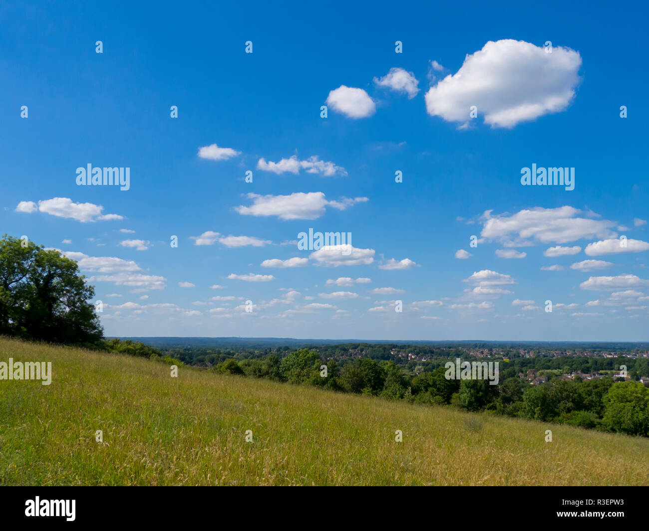 europe, UK, England, Surrey, hills landscape Stock Photo - Alamy