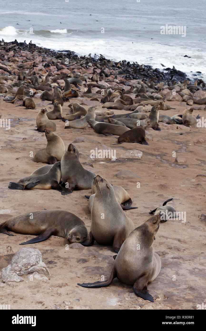 Furse park hi-res stock photography and images - Alamy