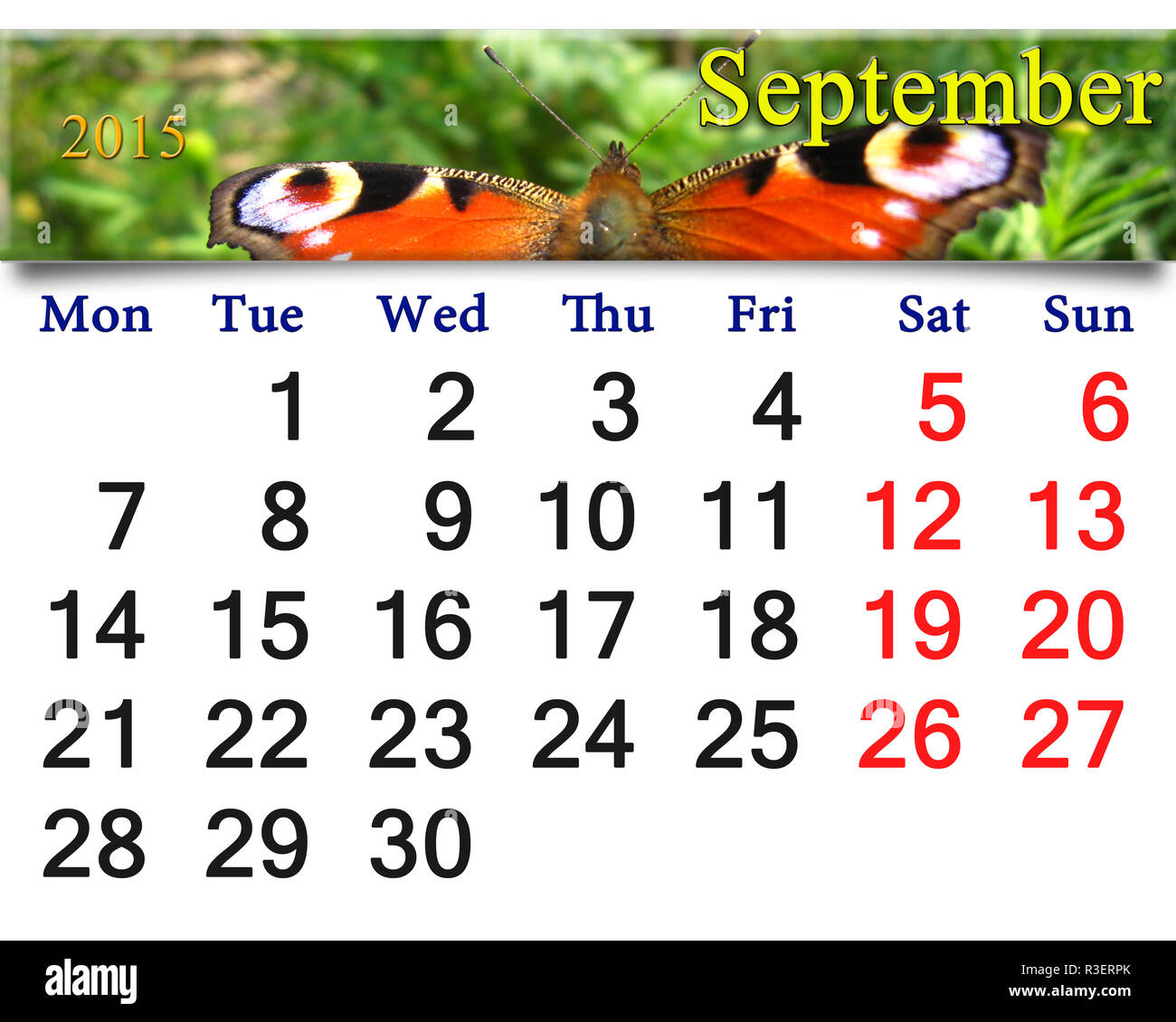 September Clip Art Butterfly FREE VIDEO: Featuring BUTTERFLY Diorama