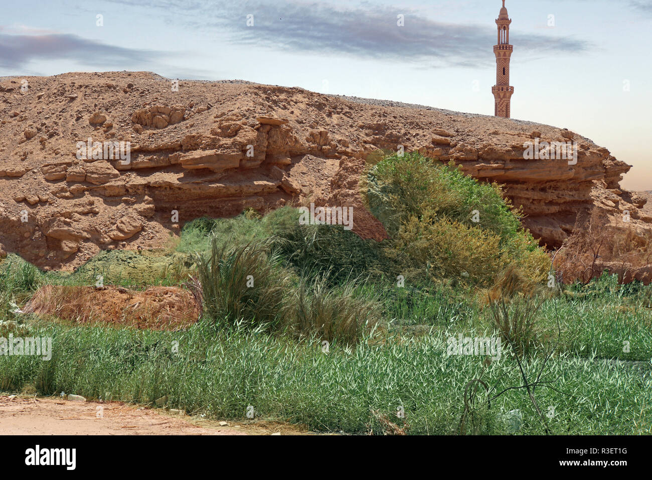 mosque desert landscape Stock Photo - Alamy